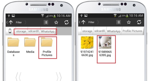 How To Save WhatsApp Profile Pictures - Wordzz